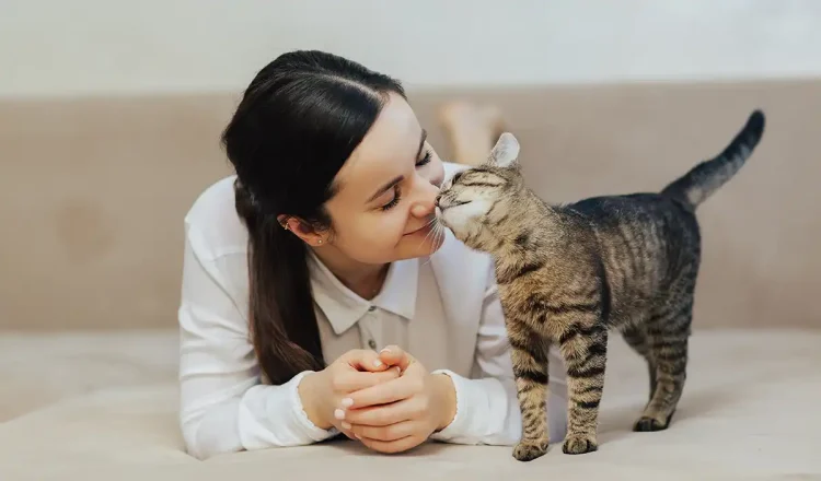 Oksitosin: Rahasia Ikatan Ajaib antara Kucing dan Manusia - Tugumalang.id