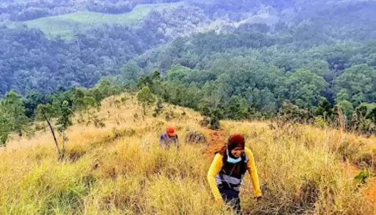 Jalur Pendakian Gunung Arjuno via Budug Asu: Rute Lengkap dan Panduan ...